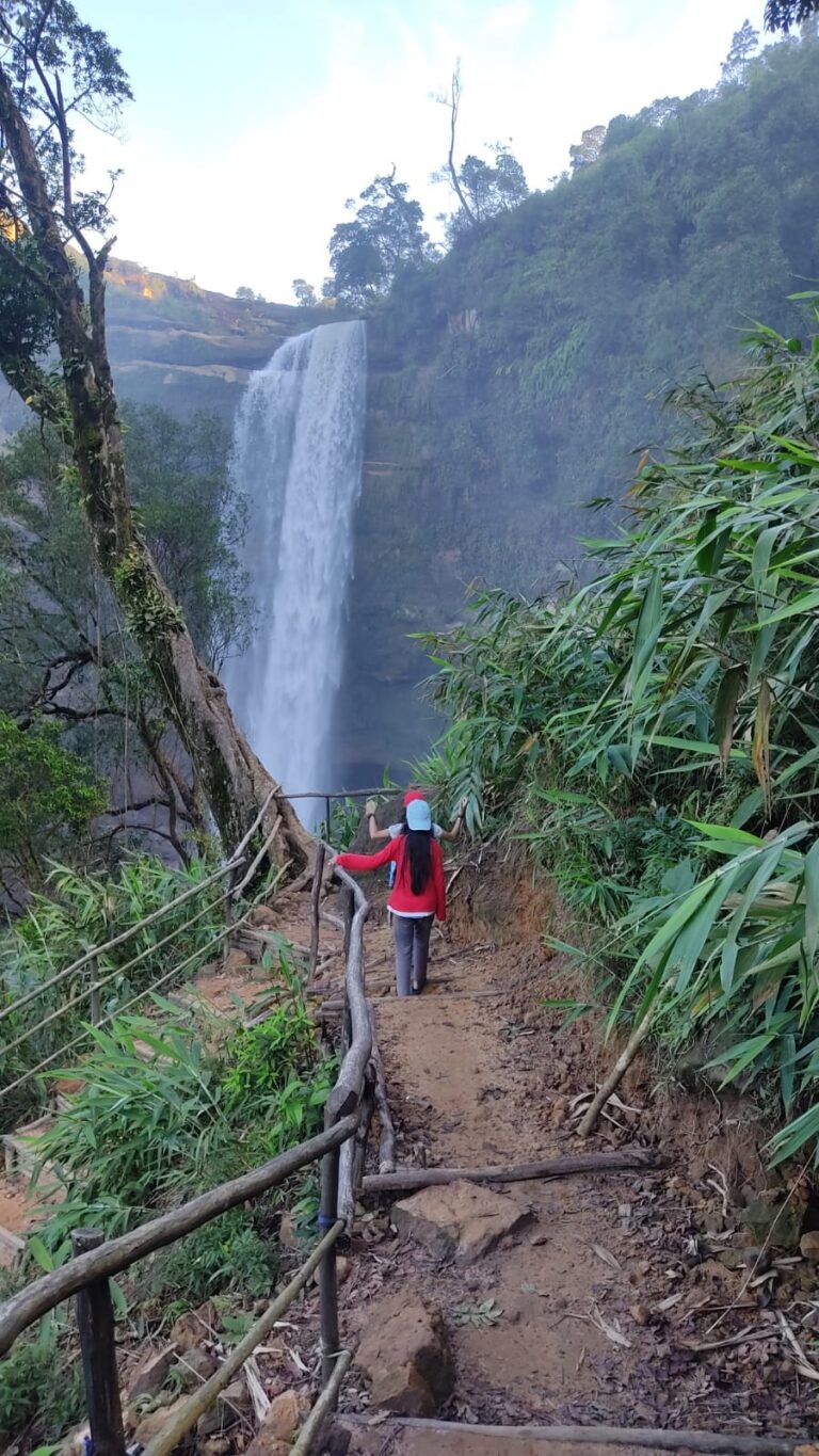 Phe Phe Falls: A Complete Guide to Meghalaya’s Two-Tiered Wonder ...
